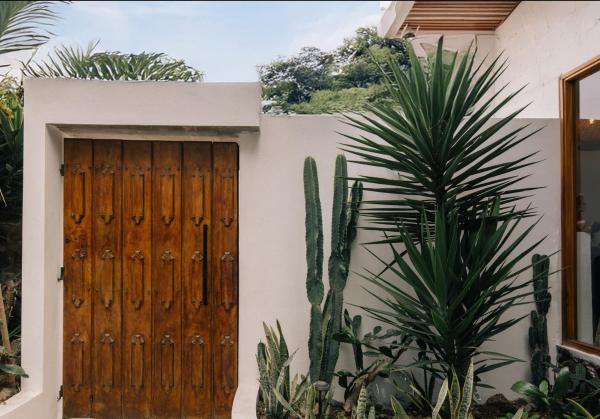 Hotel Pimampiro - Galápagos Islands