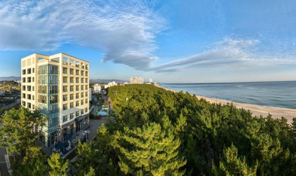 Hound The Blue Hotel - Gangneung-si