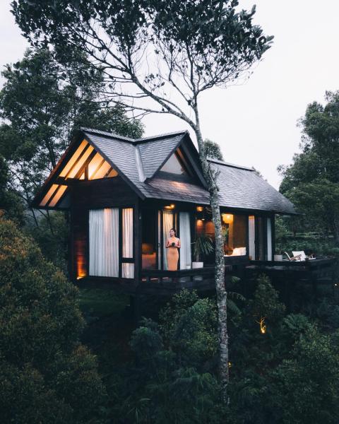 Wanagiri Cabin - Bali