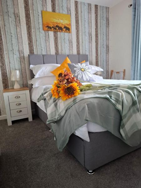 Cozy Guest Room In Heart Of Torquay - Teignmouth