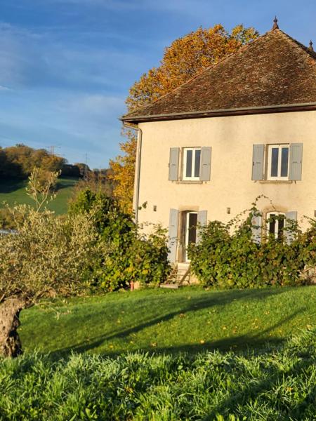 Domaine Des Granges - France