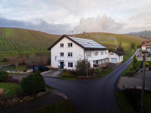 Ferienwohnung Wiedergrün - Appenweier