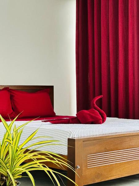 Pearl Beach - Mirissa