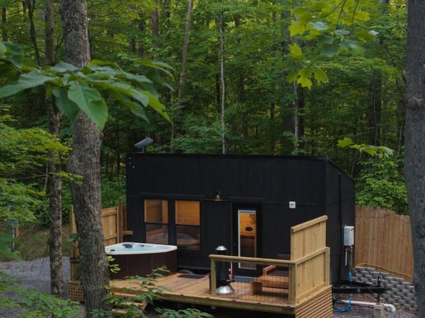 The Fern - Romantic Getaway, Hot Tub, Fire Pit, And Near Hiking! - Sylva, NC
