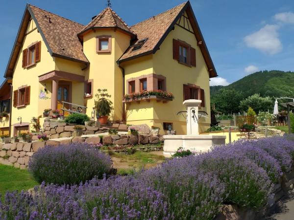 Chambre D'hôte La Châtelaine - Haut-Rhin