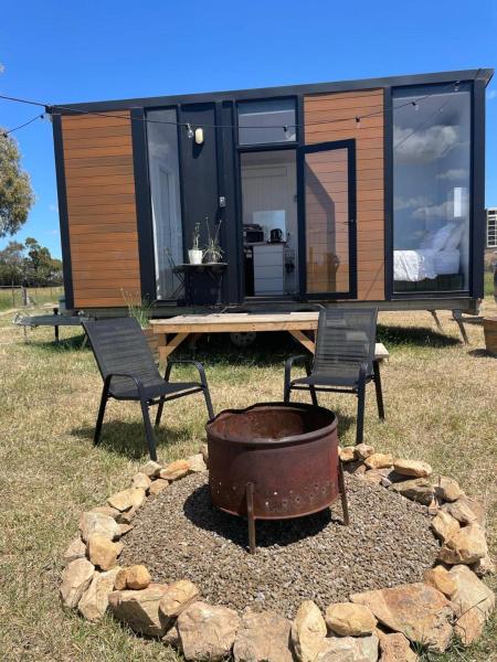 Billy Button X By Tiny Away - Mansfield