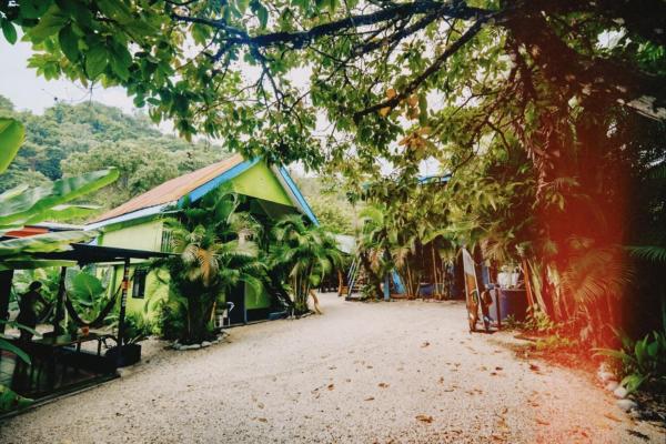 Surf Paradise - Costa Rica