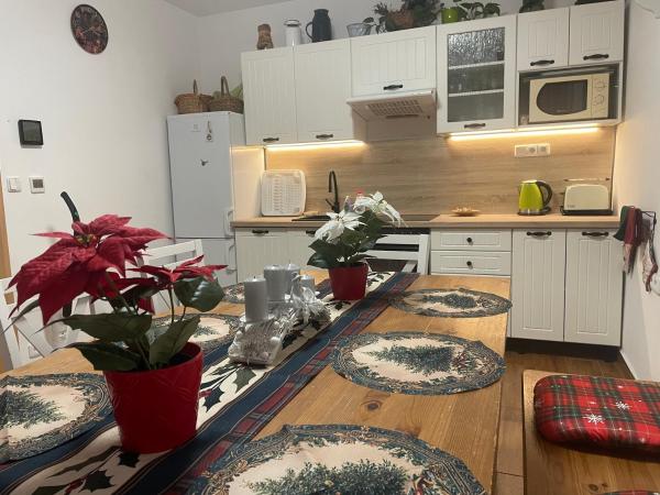 Apartmán Pod Božím Darem - Chemnitz