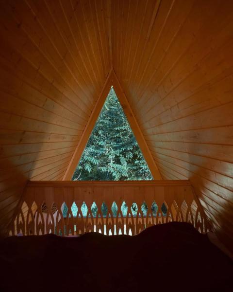 Machakheli A-lodge - Artvin