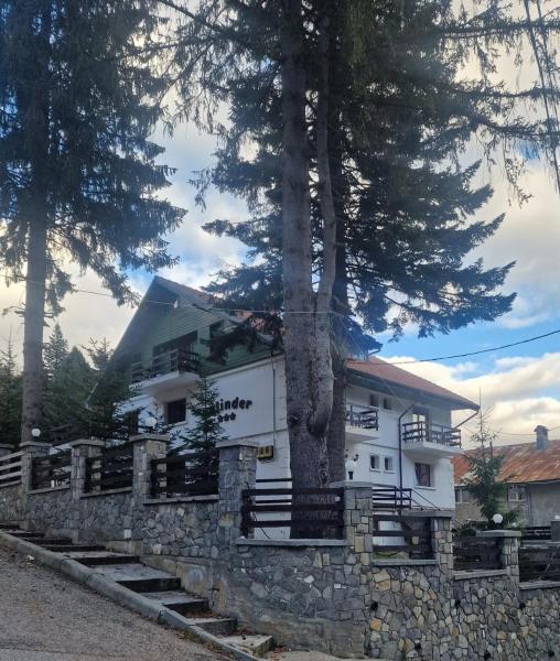 Pensiunea Kalinder - Azuga