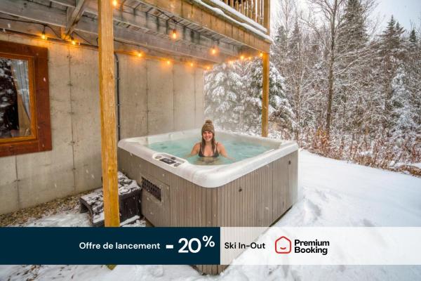 Chalet Saumon With Private Spa For 16 Guests , Skiing - Parc régional du Massif du Sud