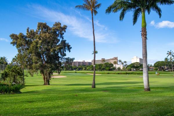 Kaanapali Royal C101 - Hawaï