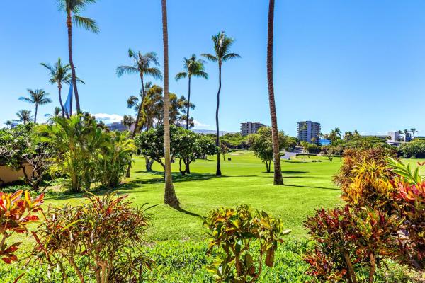 Kaanapali Royal L102 - Lahaina, HI