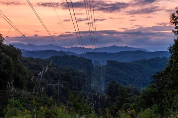 Holly Hideaway - Cozy Yurt, Pet Friendly, And Beautiful Trails! - Caroline du Nord