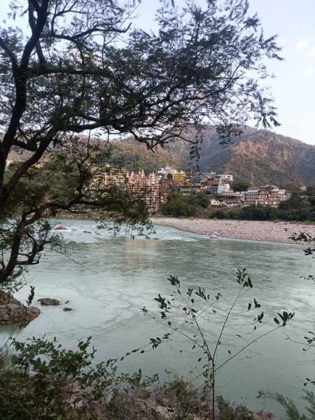 Solo Nari Backpackers Rishikesh - Rishikesh