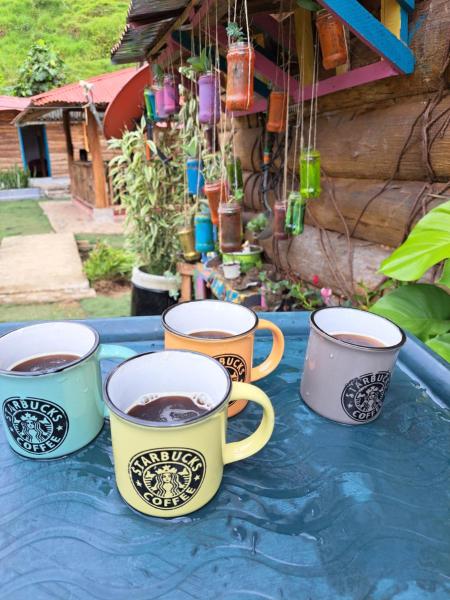 Rocas Del Rio Ecohotel - Choco