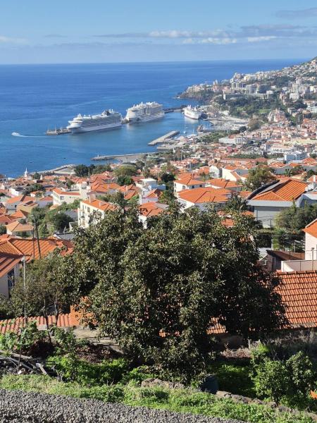 Latin House - Funchal