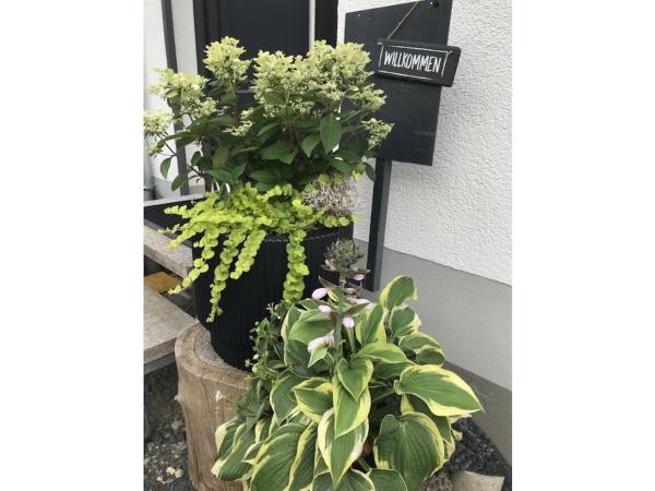 Holiday Apartment With 1 Bedroom - Gersfeld