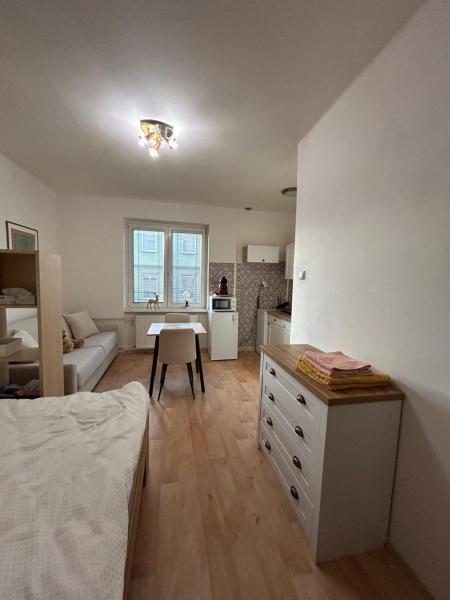 Apartmán Riegrova - Děčín