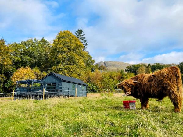 Riverview Lodge - Glencoe