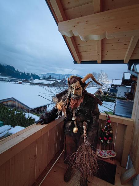 Haustiptop - Flachau