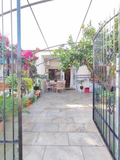 Breathtaking Beachfront Escape ! - Costa Rica