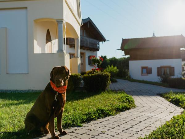 Großzügiges Ferienhaus Im Landhausstil Im Vital Camp Bayerbach - Pfarrkirchen