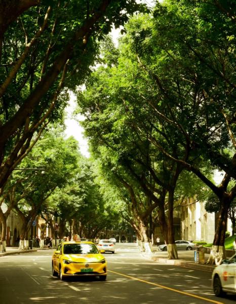 落脚城市青年旅舍 - Chongqing