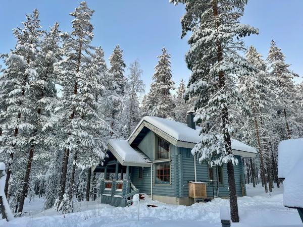 Gotolevi, Ski In, Ski Out - Lapland