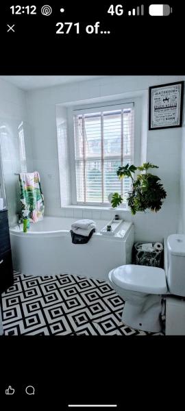 Number Sixty - Newton Abbot