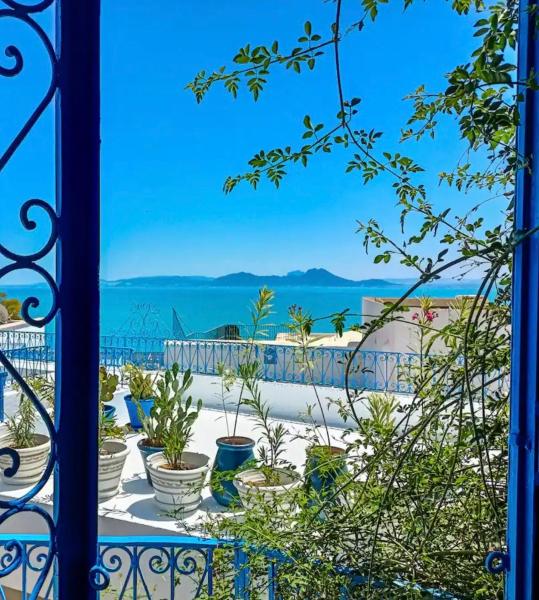 Boundless Blue House - Best View Sidi Bou - Sidi Bou Saïd