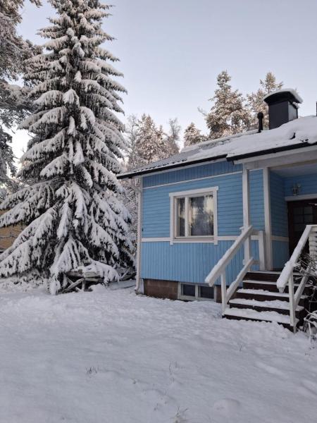 Traditional Finish House At Wild Forest Backyard! - Kemi