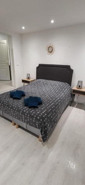 Appt T3 Spacieux Rénové Parking Clim Parc Arboré - Villeneuve-lès-Maguelone