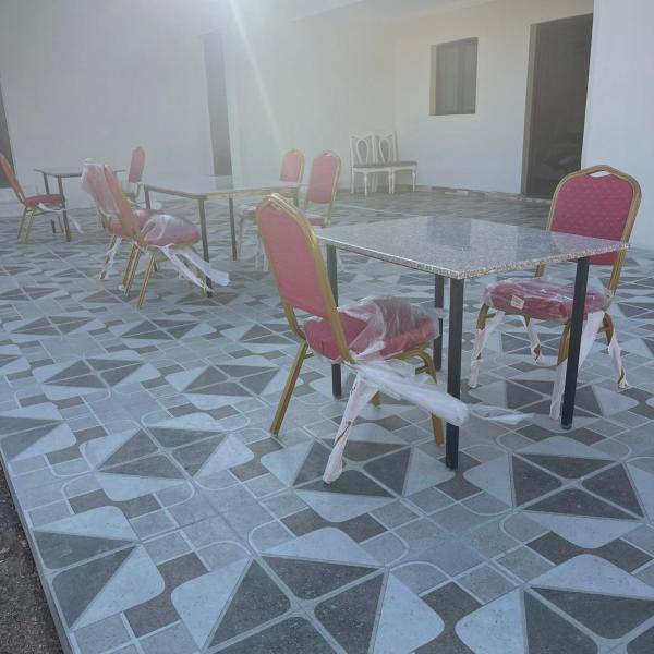 Seeing Turtles At Ras Al Jinz Hospitality - Oman