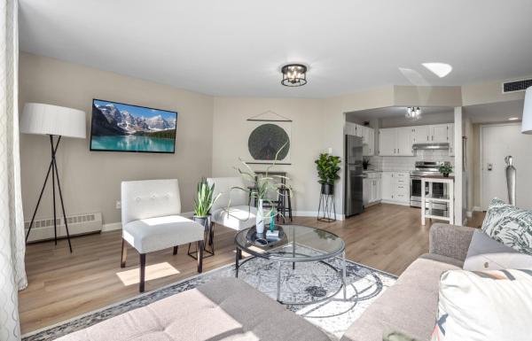 Stylish Condo - Easy To Mountains W Winter Prices Reduced ! - Calgary