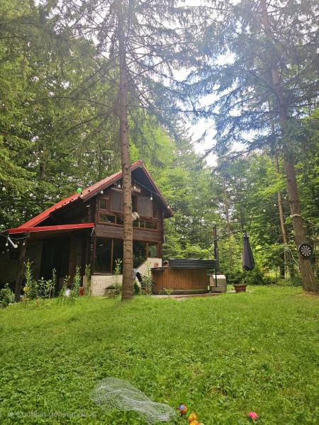 Misha's House - Avrig