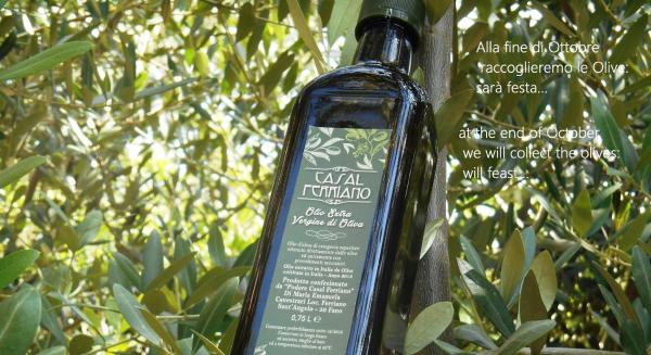 Casal Ferriano - Fano