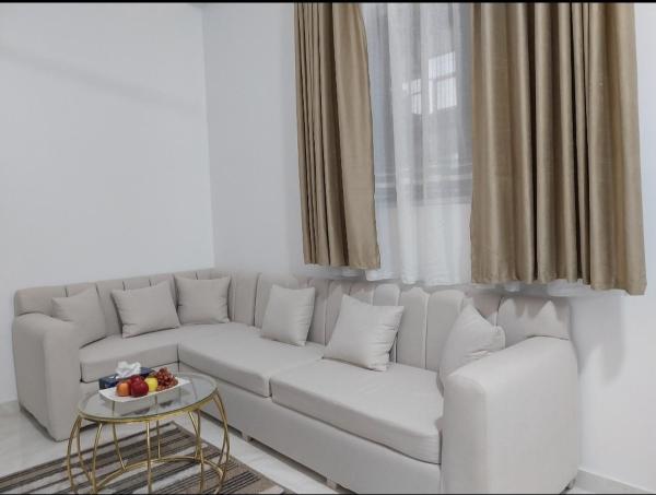 Desert Daisy - Luxor