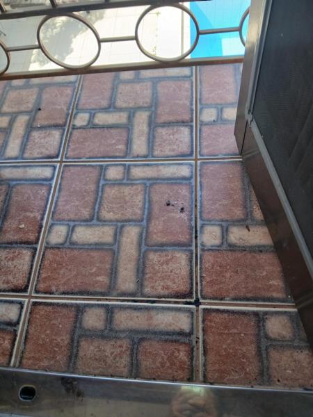 ÁUrea Da Mata - Mato Grosso (estado)