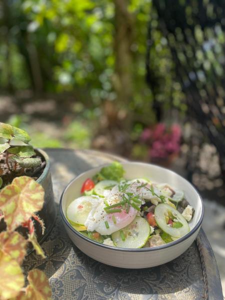 The Amazing Place Nz - 타우랑가