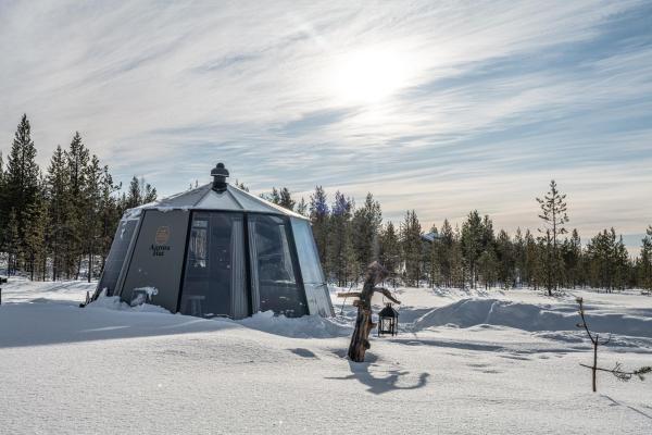Glamping Gällivare - Laponia Sky Hut - Norrbotten - Lappland - Northern Lights - Gällivare