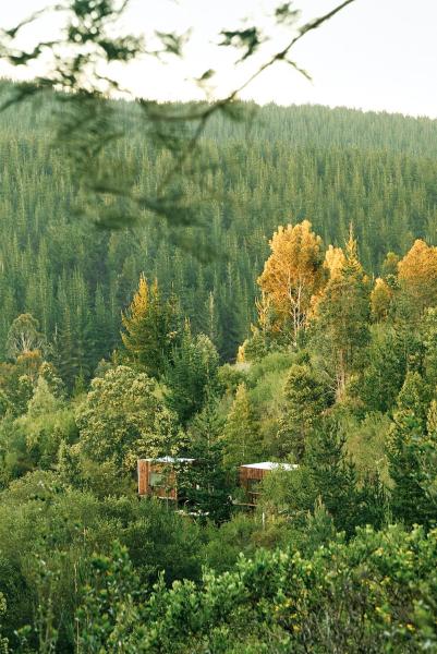 Serene Cabin In A Private Forest - Südafrika