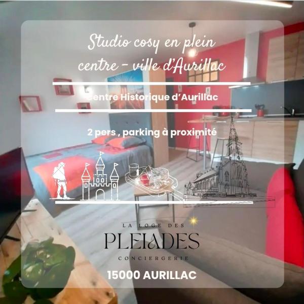 La Cour De Jeanne Studio Centre Ville - Aurillac