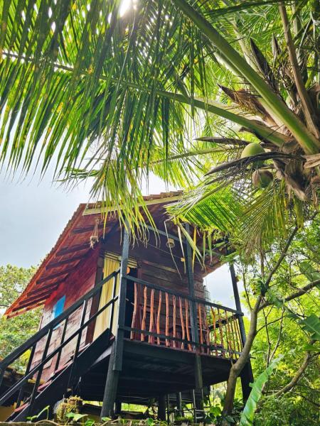 Bird House Mirissa - Mirissa