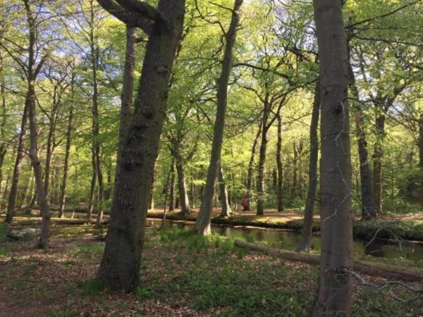 Alluring Apartment In Bergen With Terrace, Garden And Bbq - Bergen