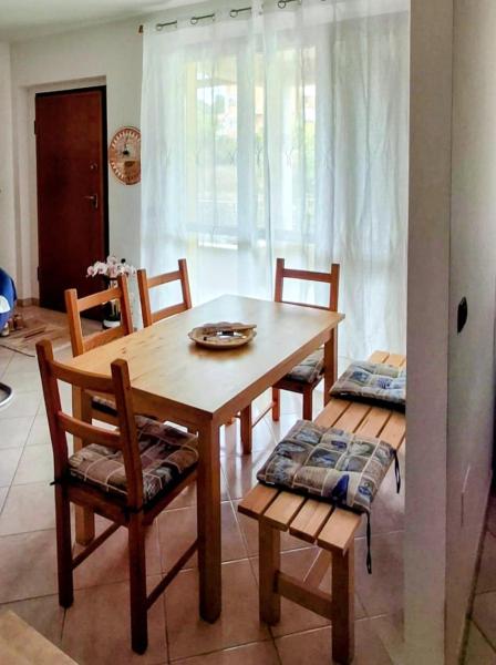 Teddy - Civitanova Marche