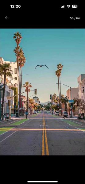 Cozy Beach Haven - Los Angeles, CA