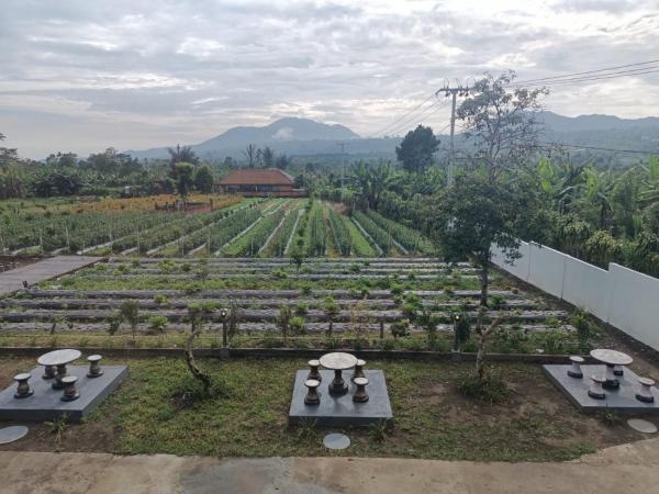 Puri Gajah Homestay & Villa - Munduk