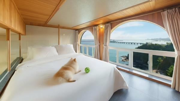 Samcheok Peacehousing Spa Pet Pension - South Korea