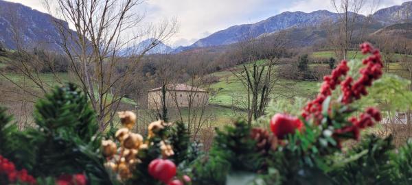Casa Cabrales - Cabrales